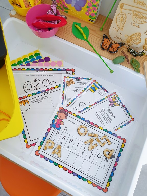 - Elevage de papillons : Observation des étapes de la chenille au ...